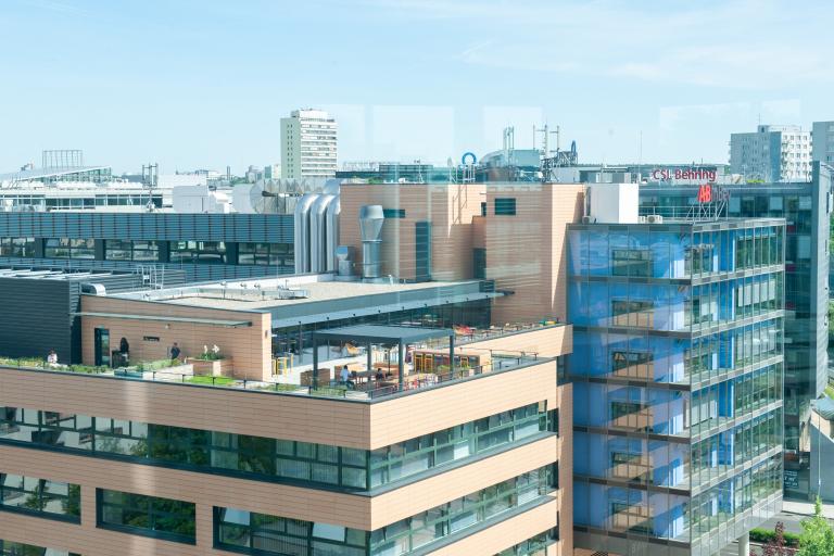 AB InBev European Careers | AB InBev